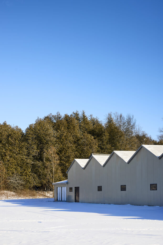 The Mushroom Makers - Edible Ottawa